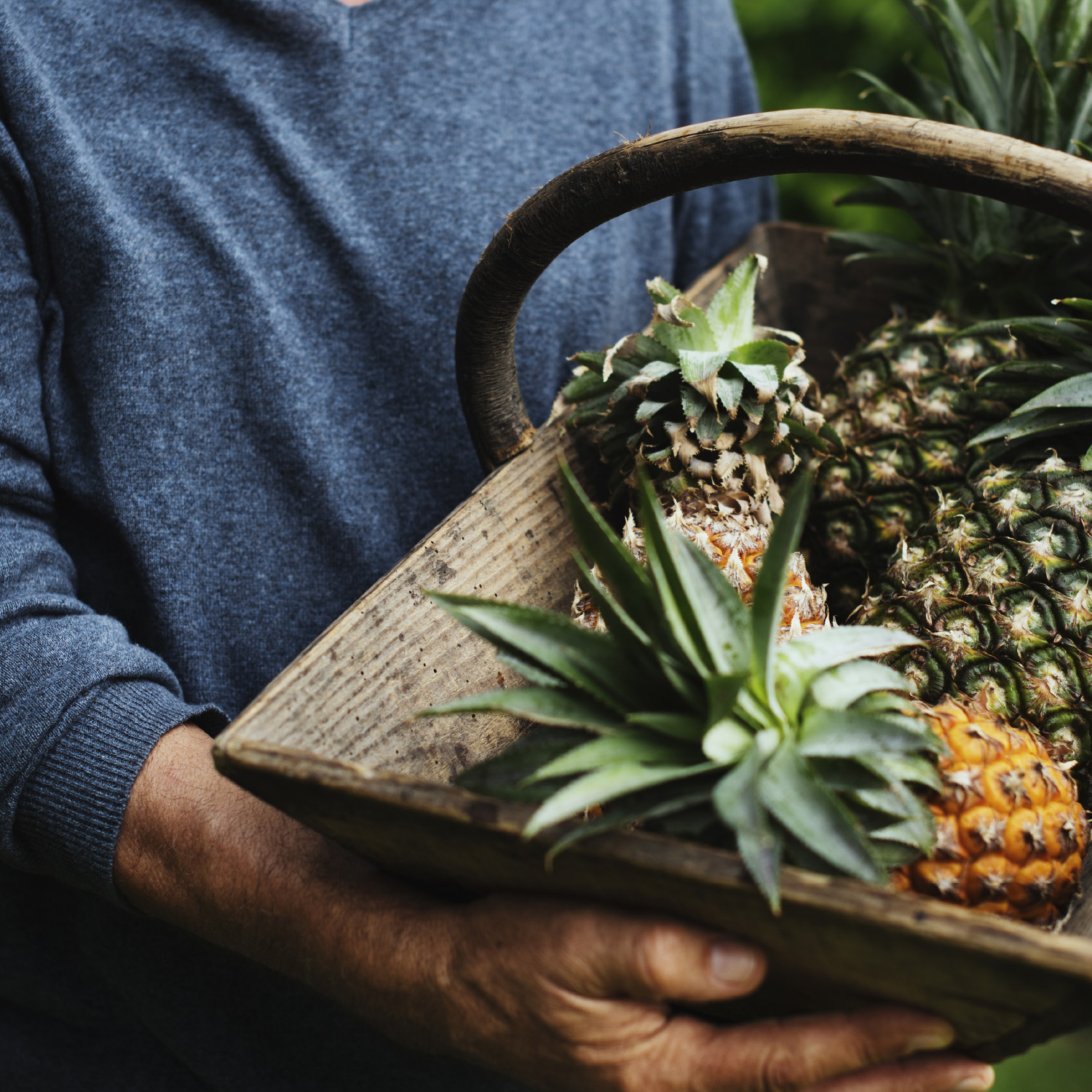 INTERNATIONAL PINEAPPLE DAY - corfuimperial