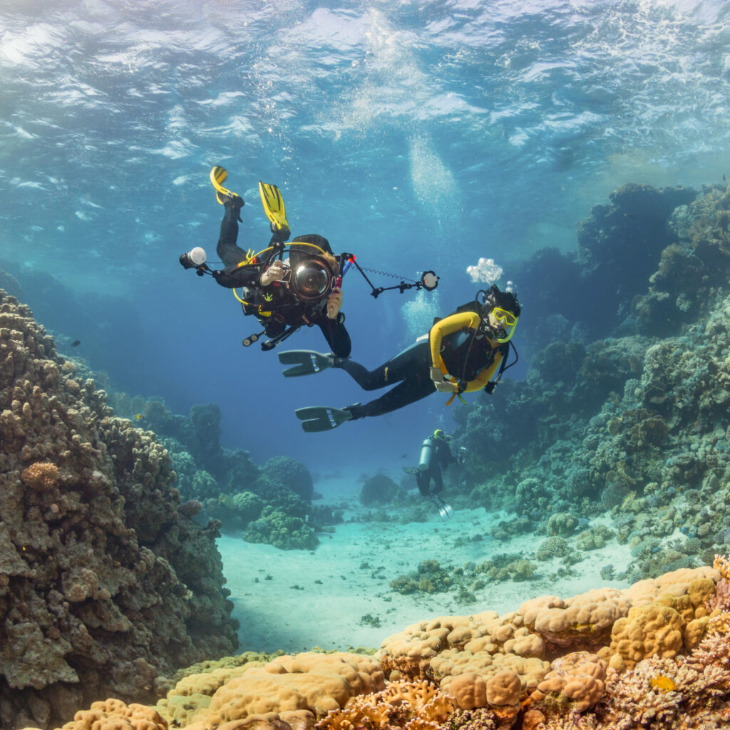 Summer Experiences in Corfu | Grecotel LUXME Daphnila Bay