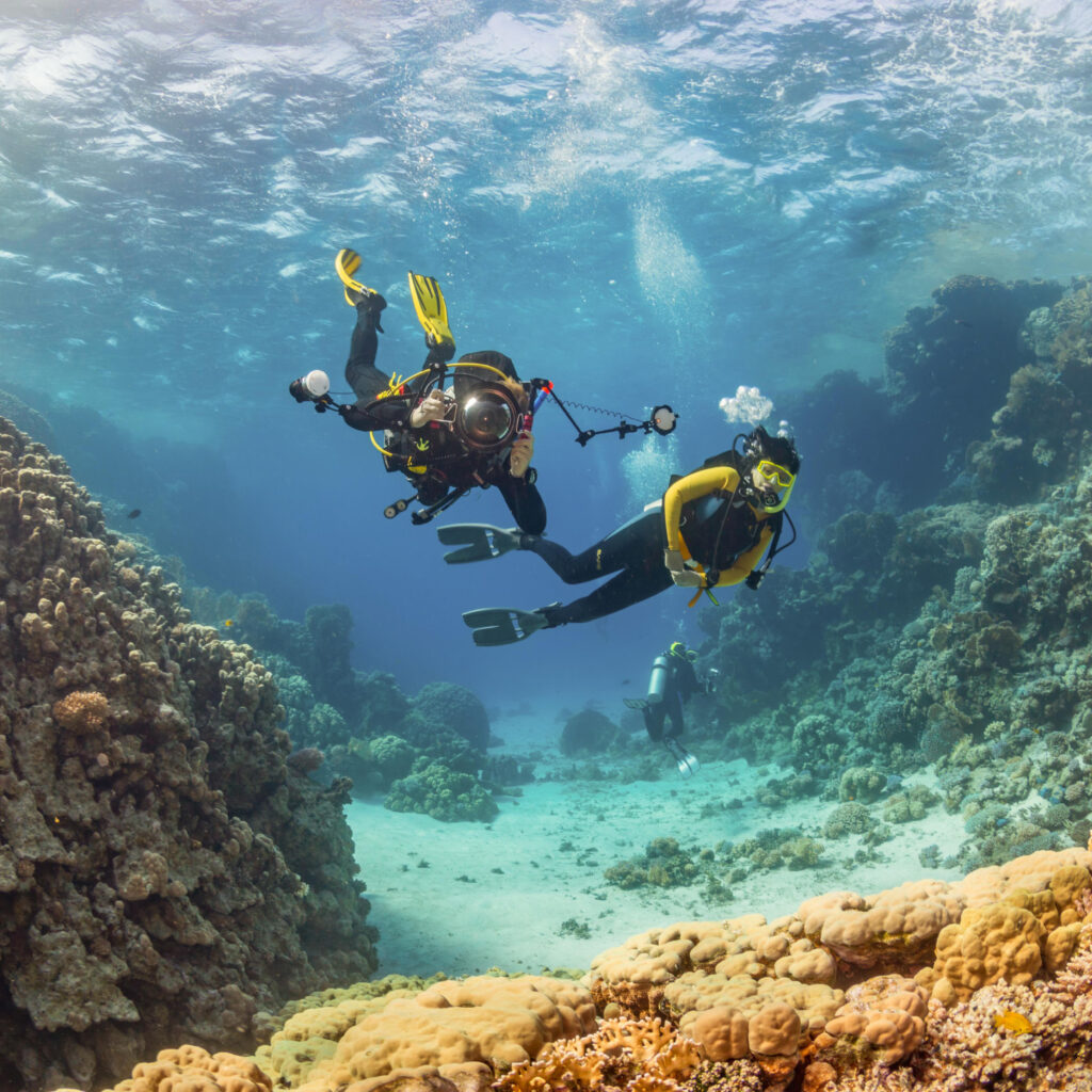 Summer Experiences in Kos | Grecotel LUXME Kos