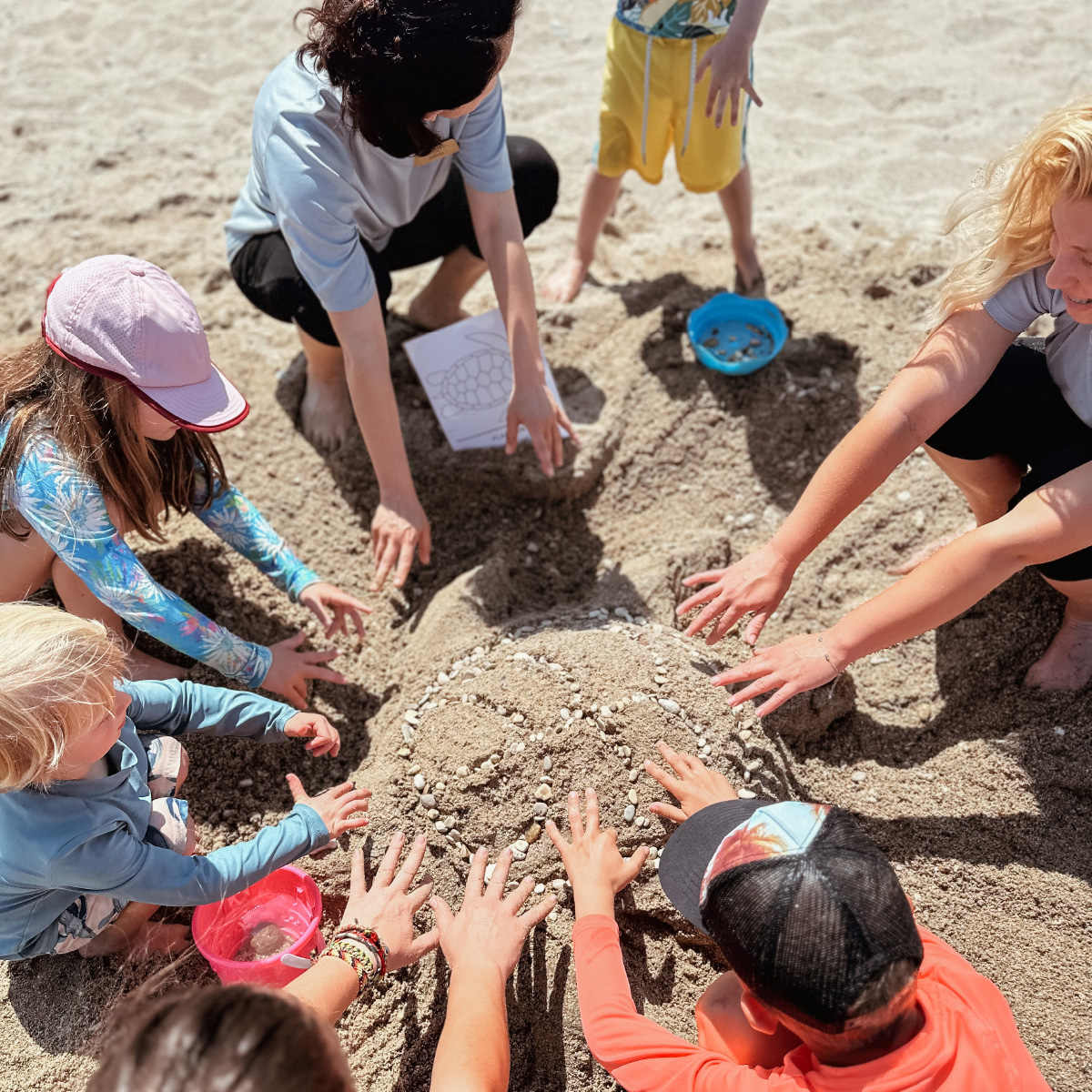 JOURNÉE MONDIALE DES TORTUES MARINES - White Palace