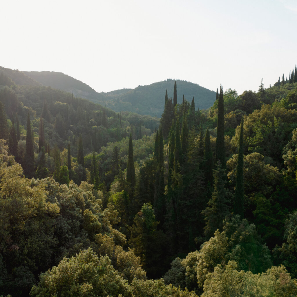 Corfu Island in Greece | Grecotel LUXME Costa Botanica